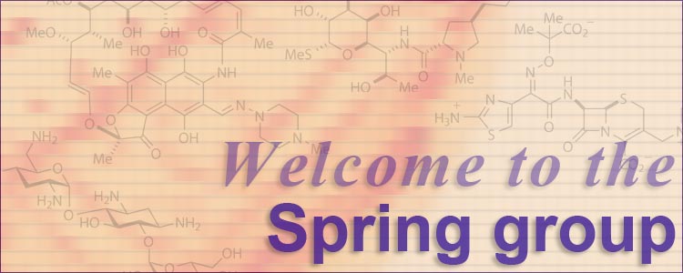 Spring Group